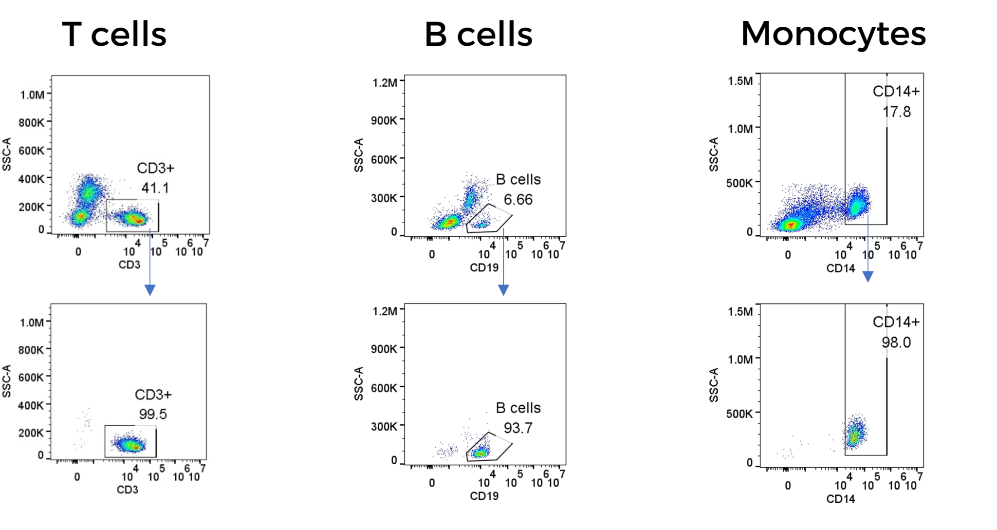 Applications - Cellular Highways
